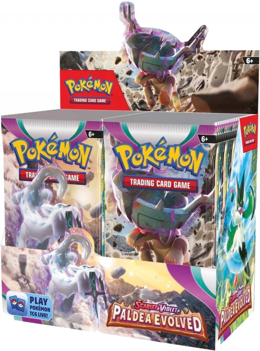 Pokémon Paldea Evolved: Booster Box — GameToon